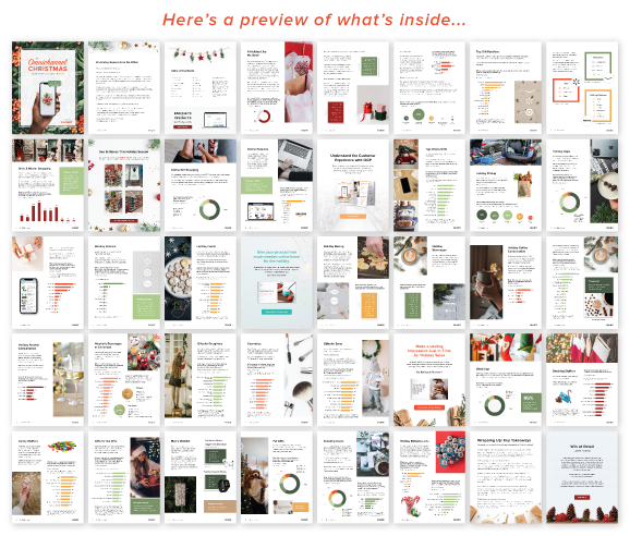 Special Report: 2020 Holiday Insights [Free Download]